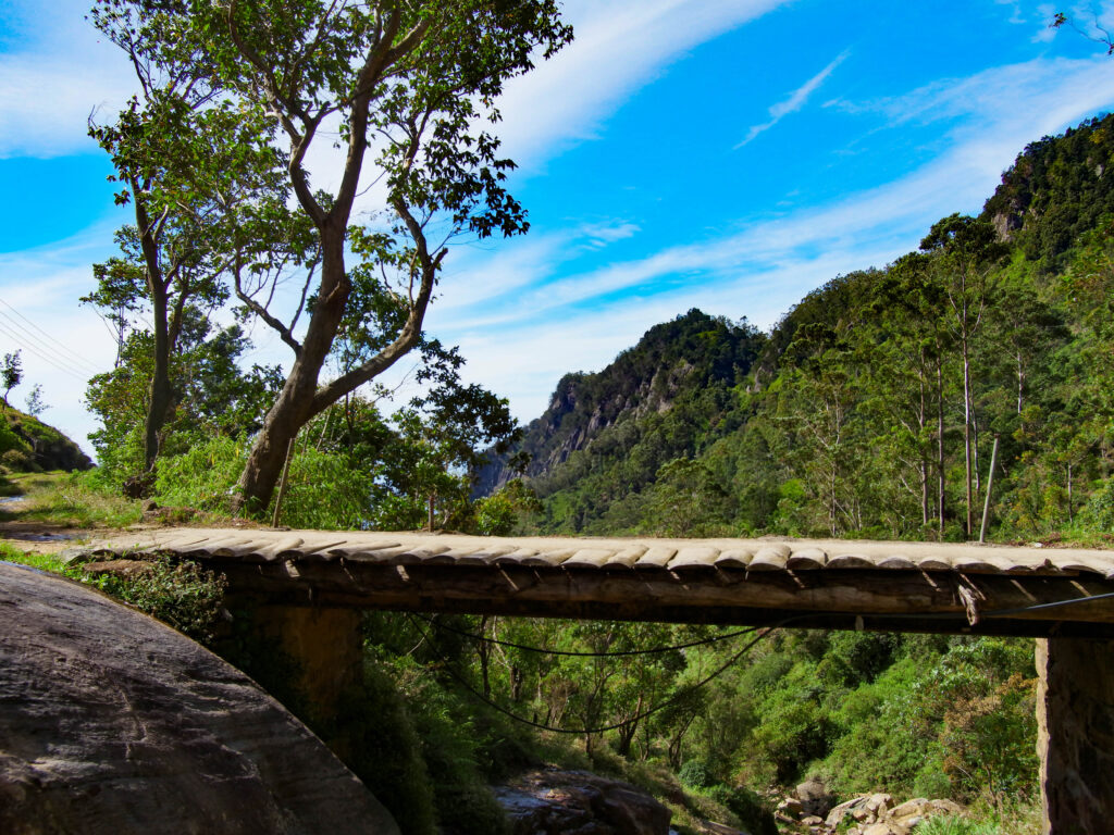 Unraveling the Mystical Marvels: Sri Lanka's Delightful Devil's ...